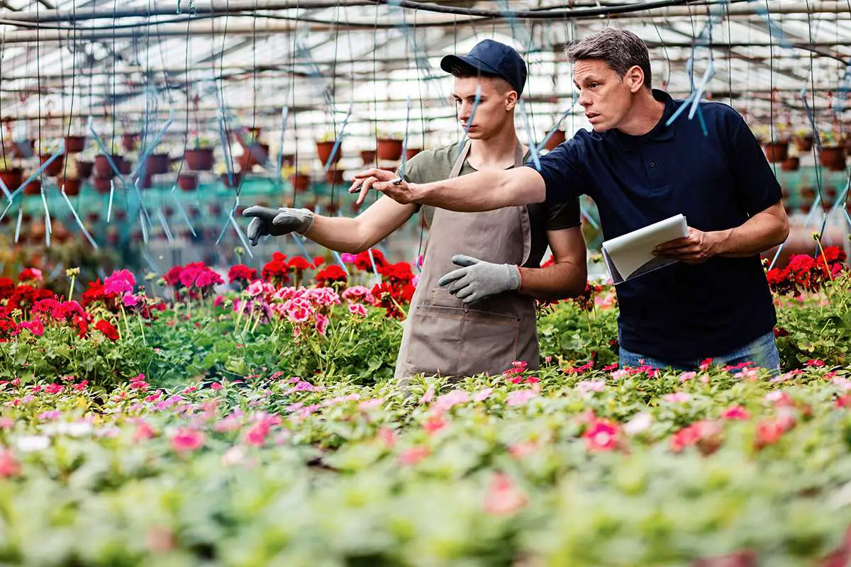 Horticultural Consultant Job Description - 2026