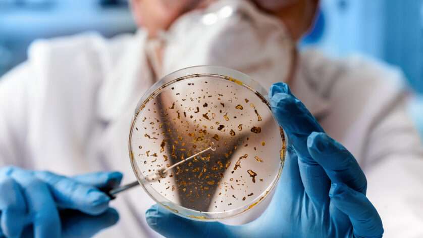 Microbiologist Job Description - 2026